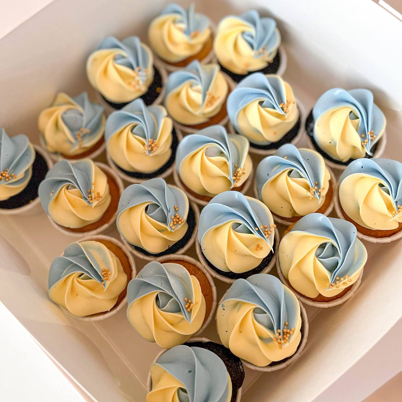Mini Blue & Yellow Cupcakes (20) | Afters Bakery